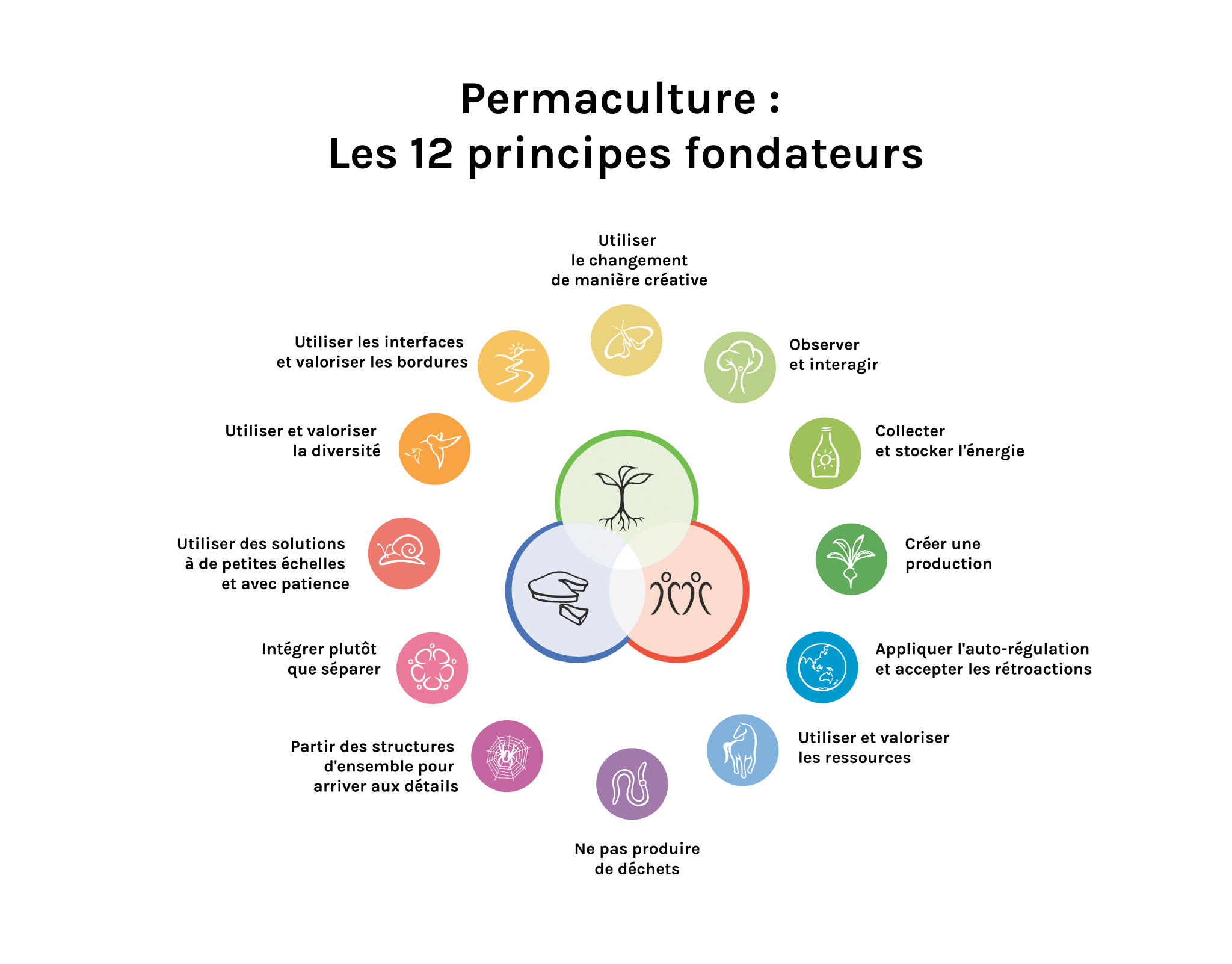 Principes de base de la permaculture - Jardin au Naturel