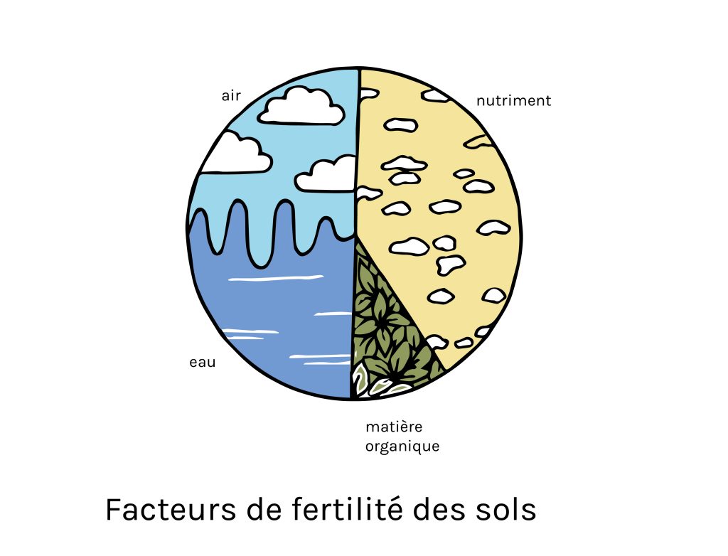 Facteurs de fertilité du sol - Jardin au Naturel Facteurs de fertilité du sol - Jardin au Naturel