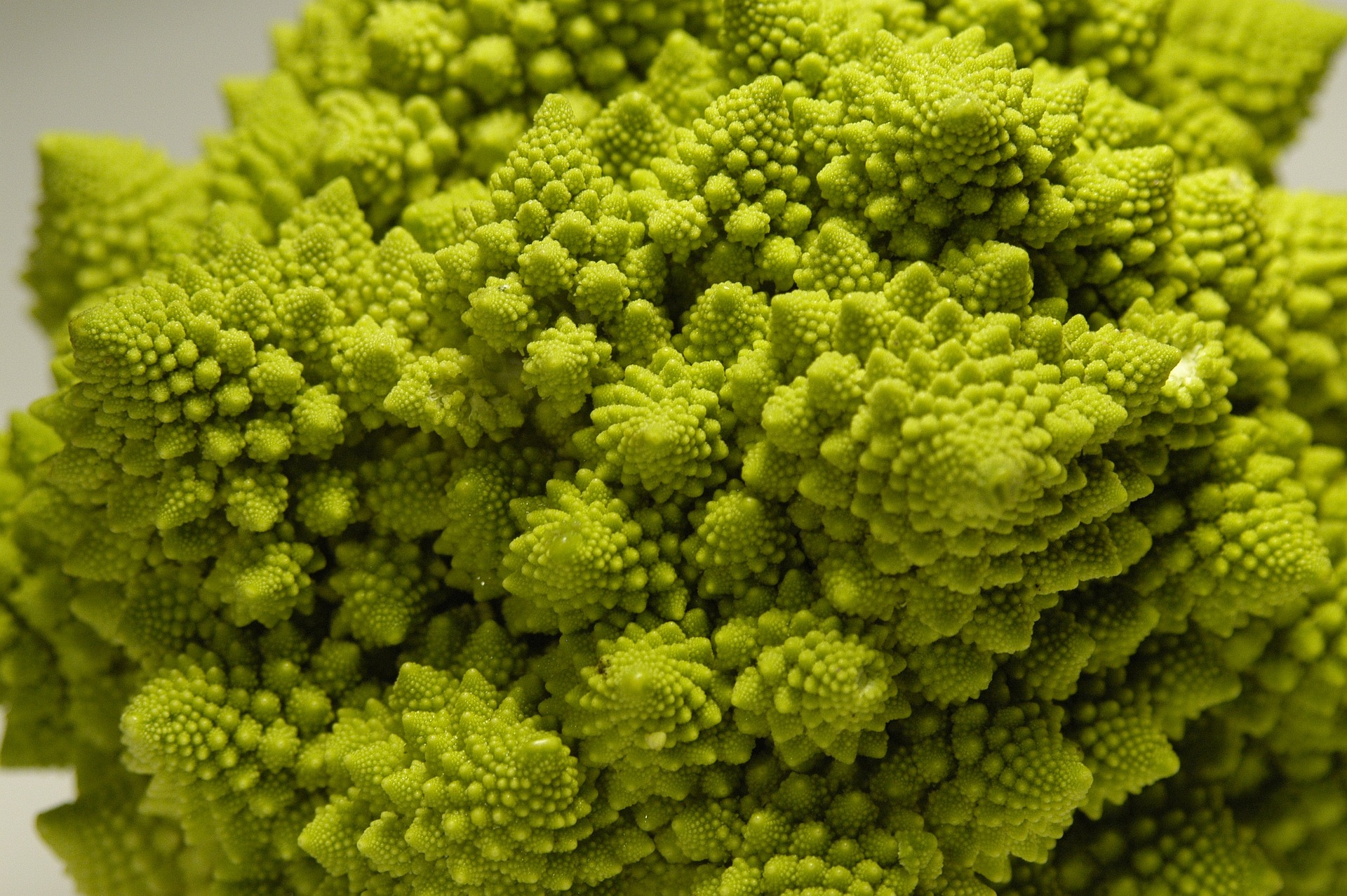 D’où vient la forme du chou-romanesco ? - Jardin au Naturel