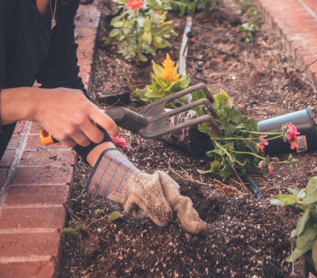 Les 10 principes de base du jardinier paresseux - Jardin au Naturel